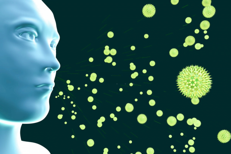 All Facts on Board about Immunity & Ways to Boost It!